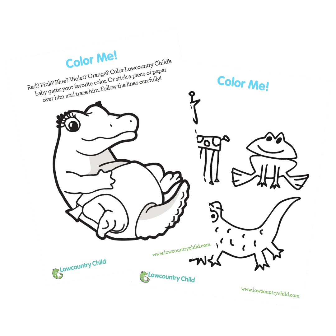 Free Printable Educational Sheets for Kids